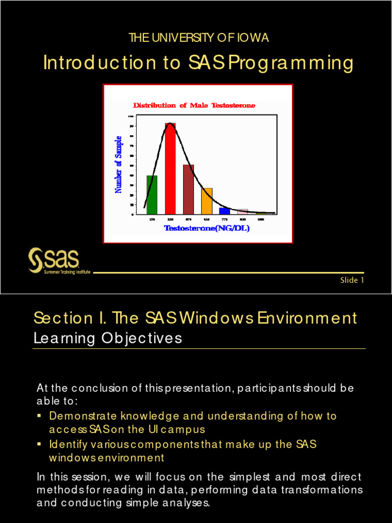 Base Sas Pdf Sas Software Computer File