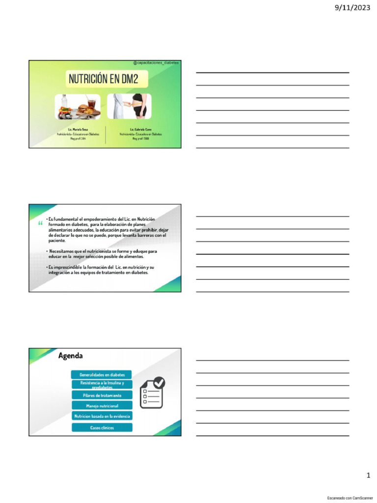Resumen Nutricion y DM2 | PDF