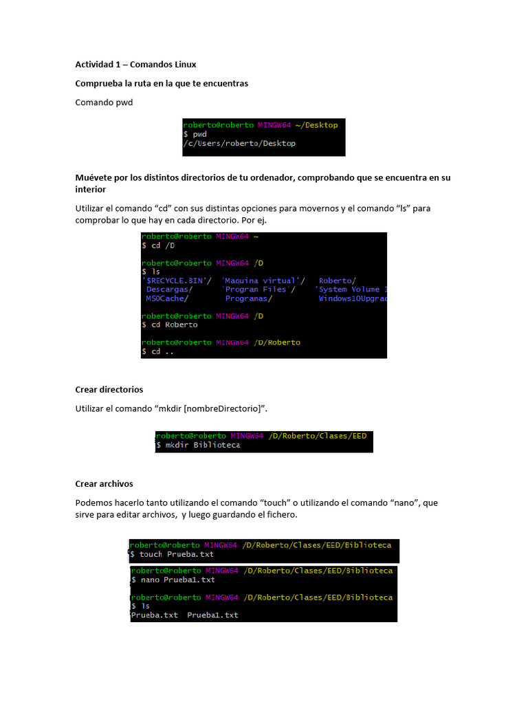 Practica1 - Resuelta GitHub | PDF