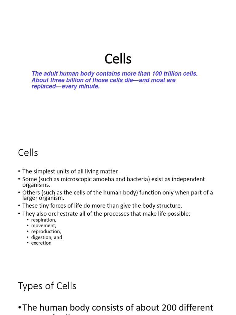 Unit 1C Cells | PDF