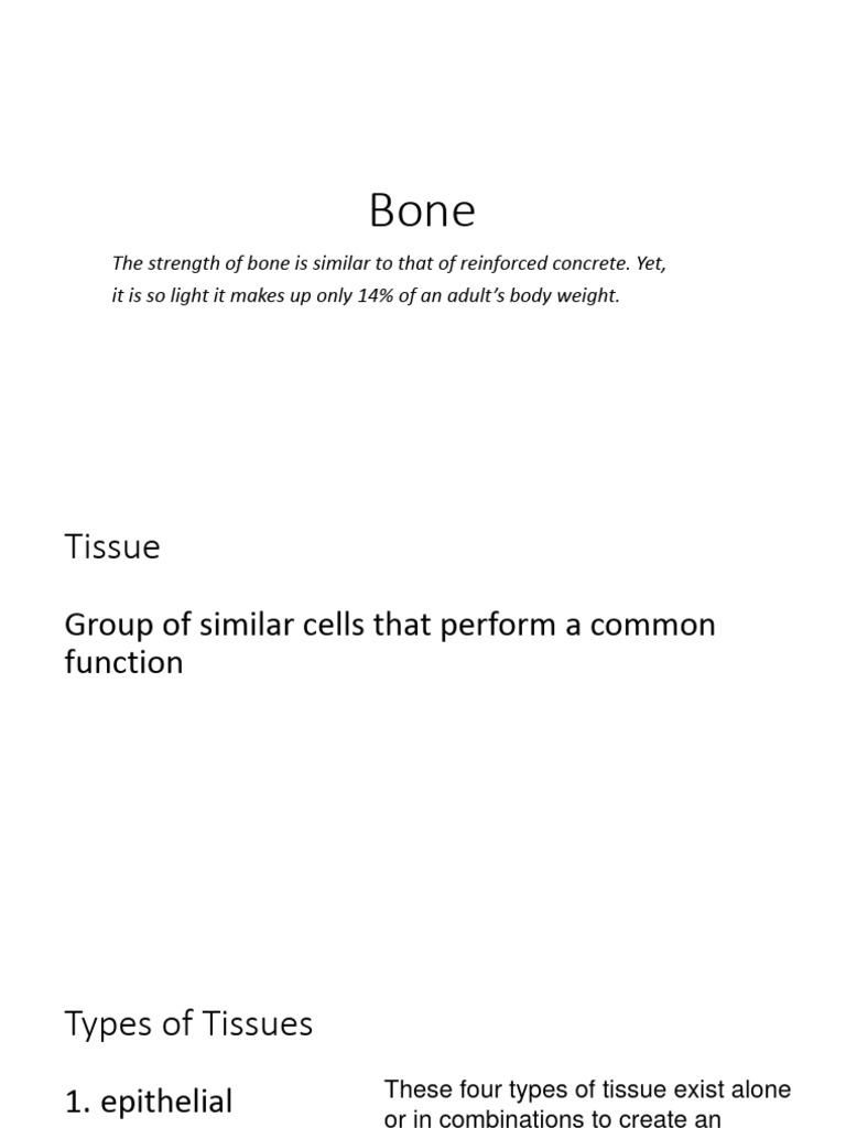 Bone | PDF | Bone | Human Body
