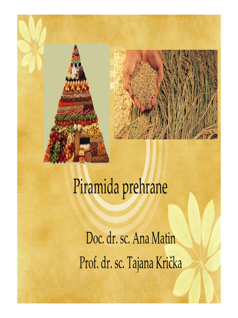 Pr.6 - Piramida Prehrane | PDF