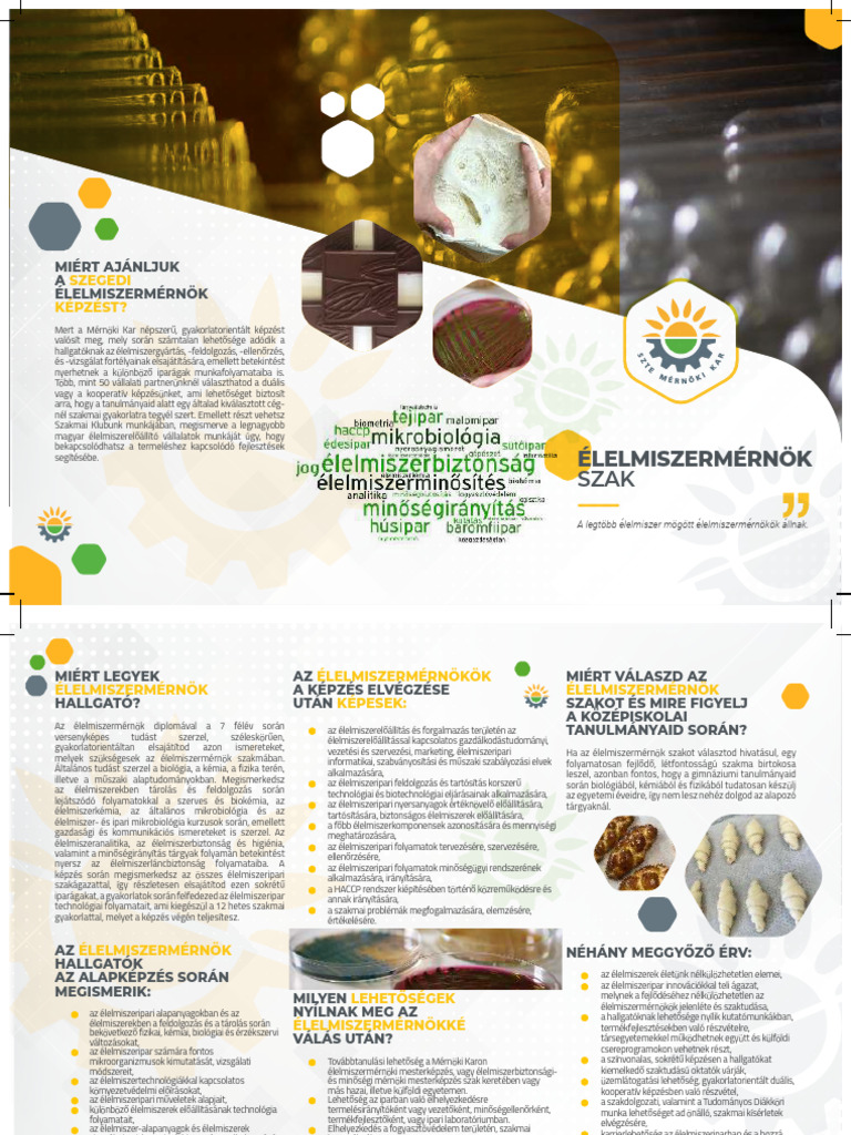 Szak Ismertető | PDF