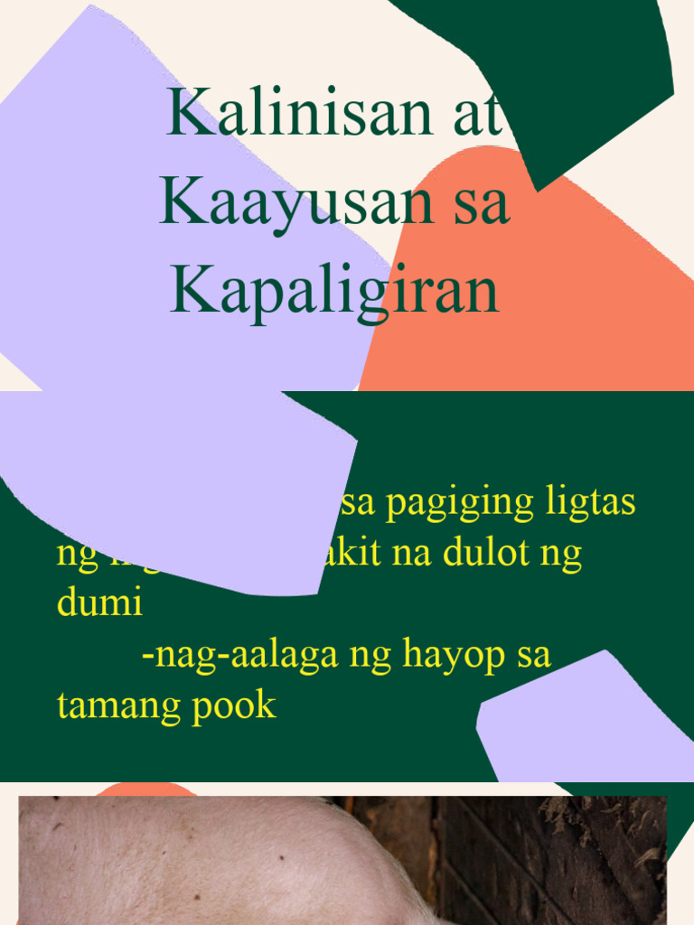 Kalinisan at Kaayusan Sa Kapaligiran | PDF