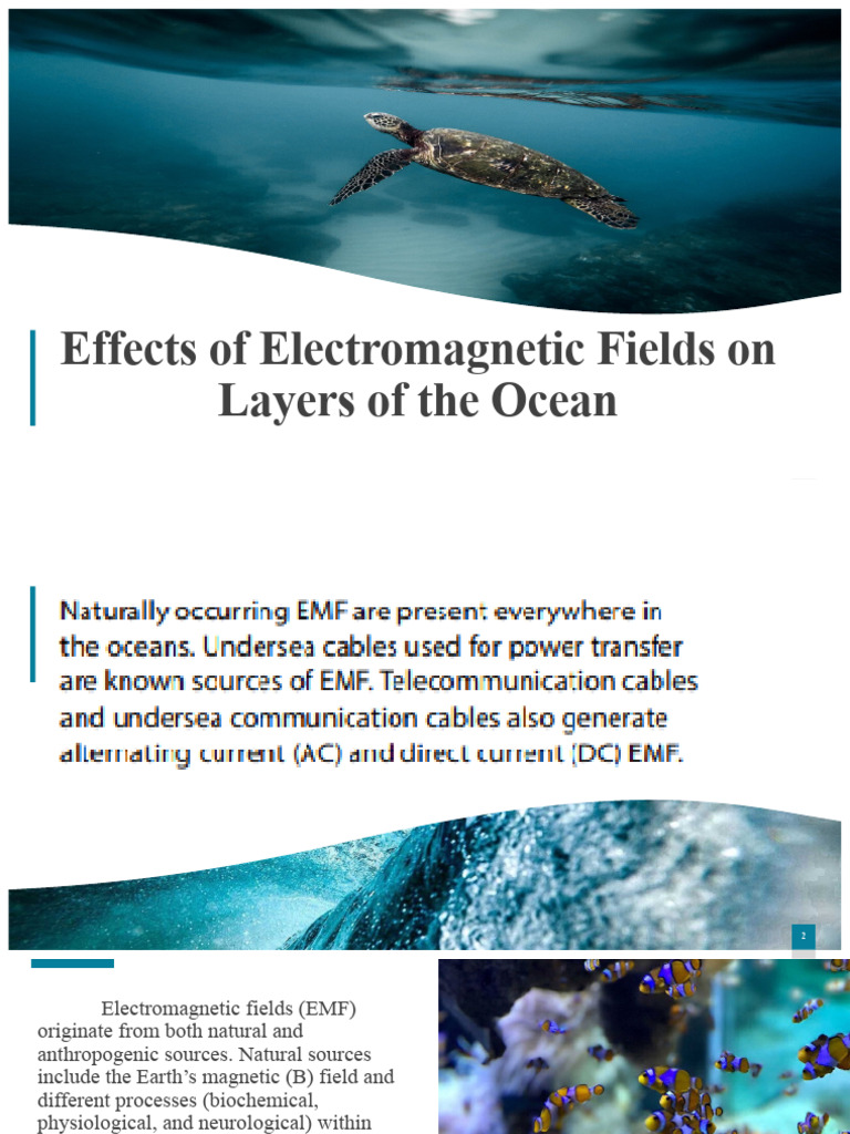Effects of Electromagnetic Fields On Layers of The | PDF ...