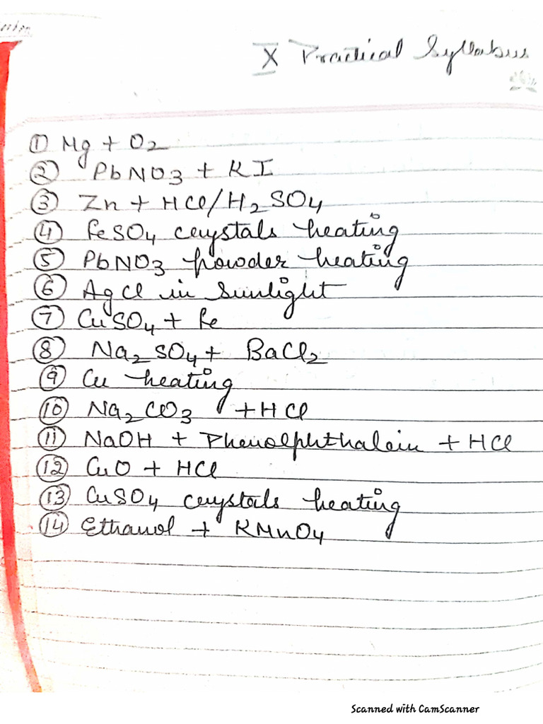 Class 10th Practical Syllabus | PDF