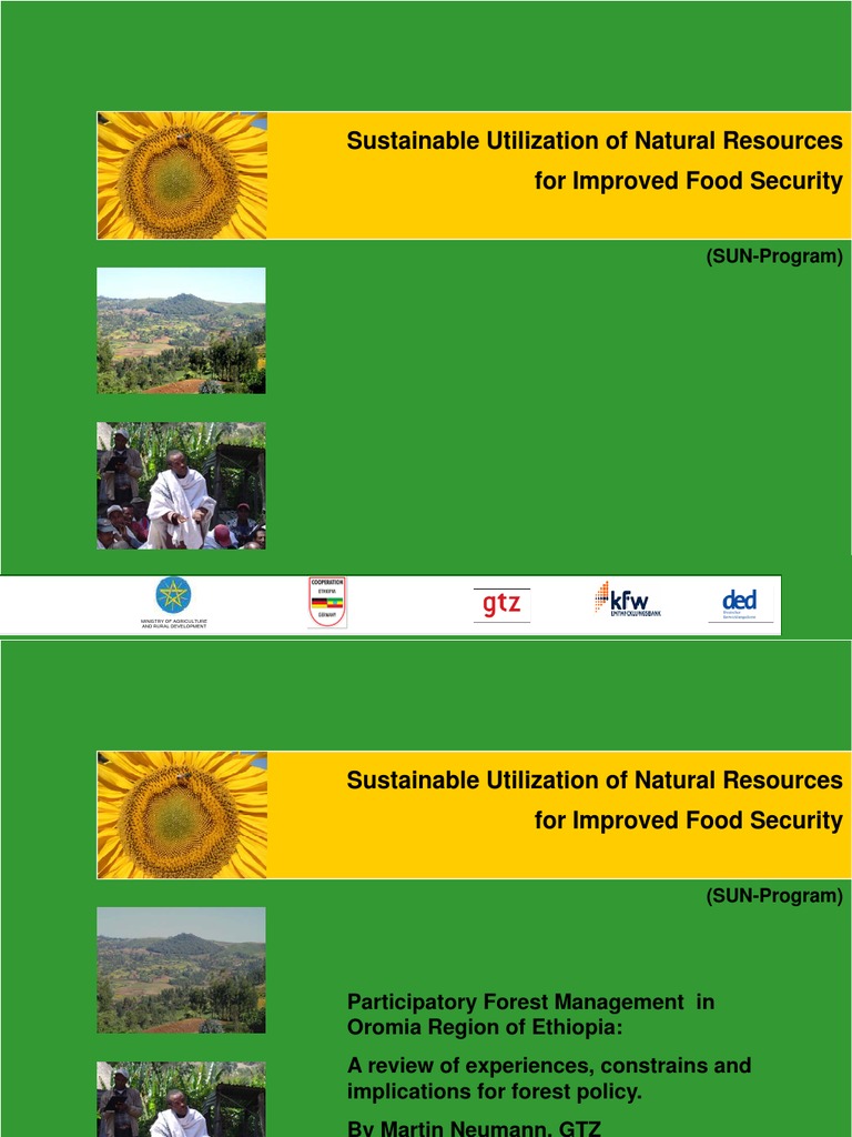 Participatory Forest Management in Oromia | PDF | Sustainability | Food ...
