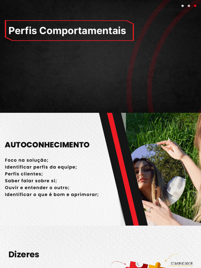 Padrão - Perfis Comportamentais | PDF