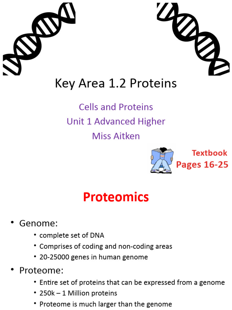 Proteins | PDF | Endoplasmic Reticulum | Protein Structure