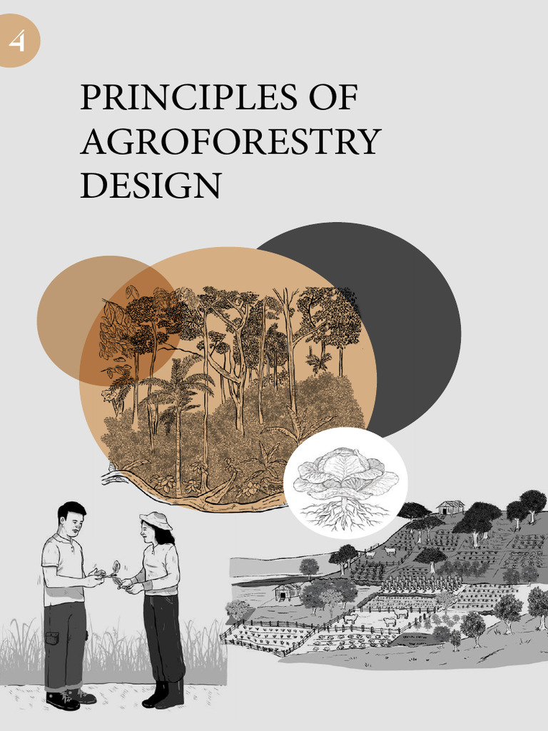 Principles of Agroforestry Design | PDF | Biodiversity | Natural ...