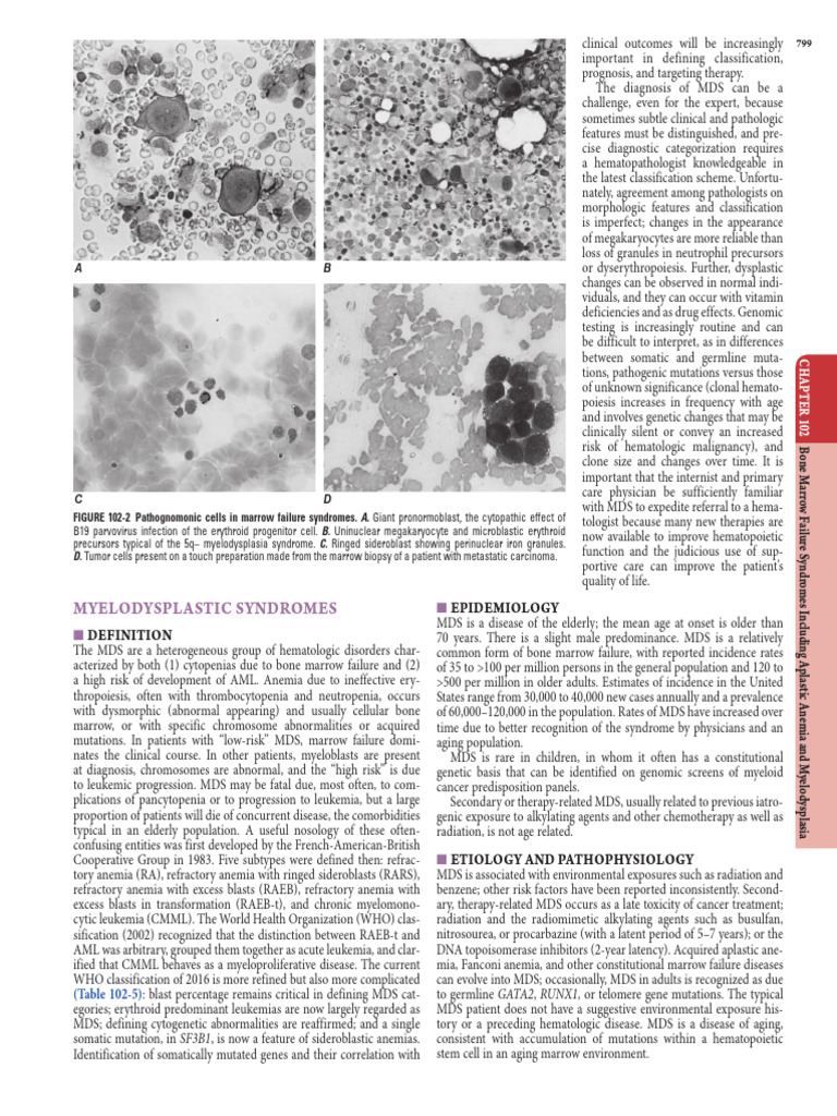 Harrison | PDF | Clinical Medicine | Cancer