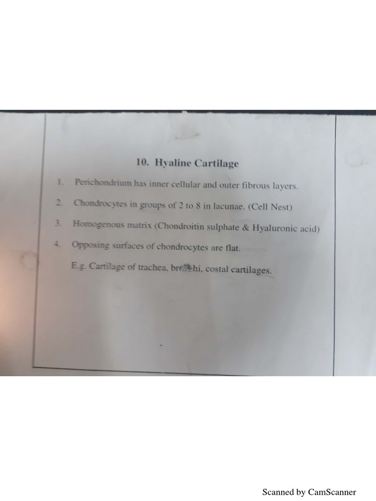 2.histology Notes | PDF