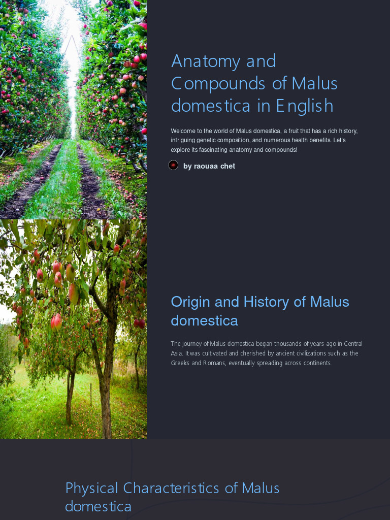 Anatomy and Benefits of Malus domestica | PDF