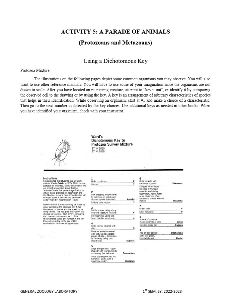 Using Dichotomous Keys in Zoology | PDF