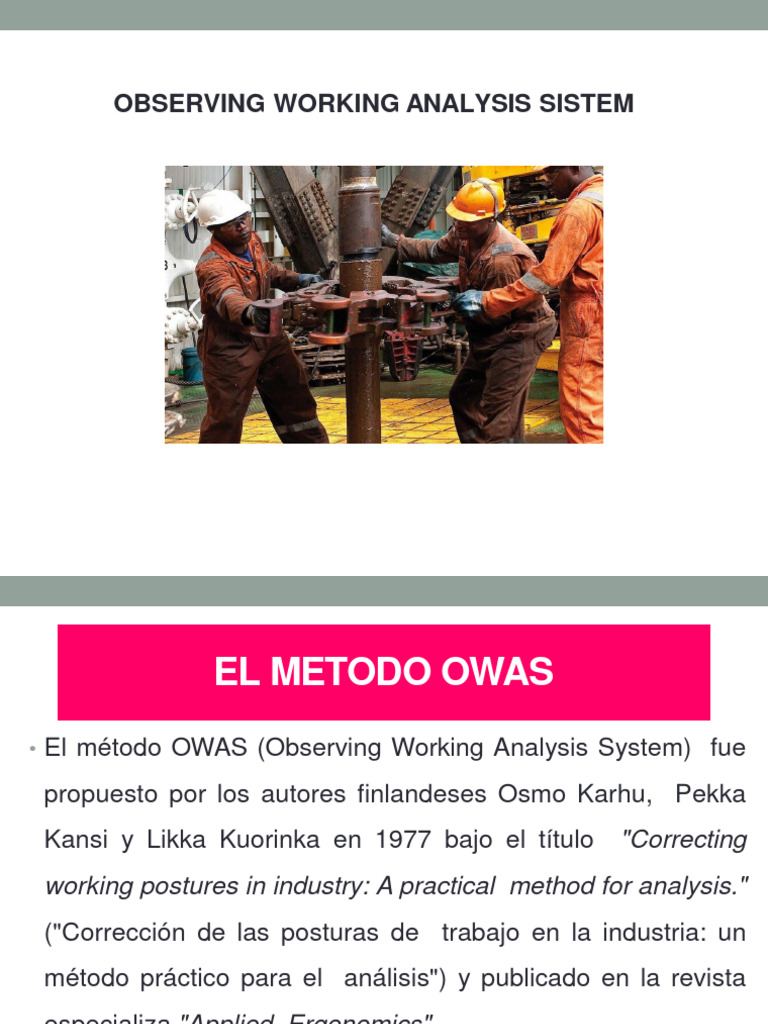 Metodo OWAS | PDF | Sistema musculoesquelético | Anatomía humana