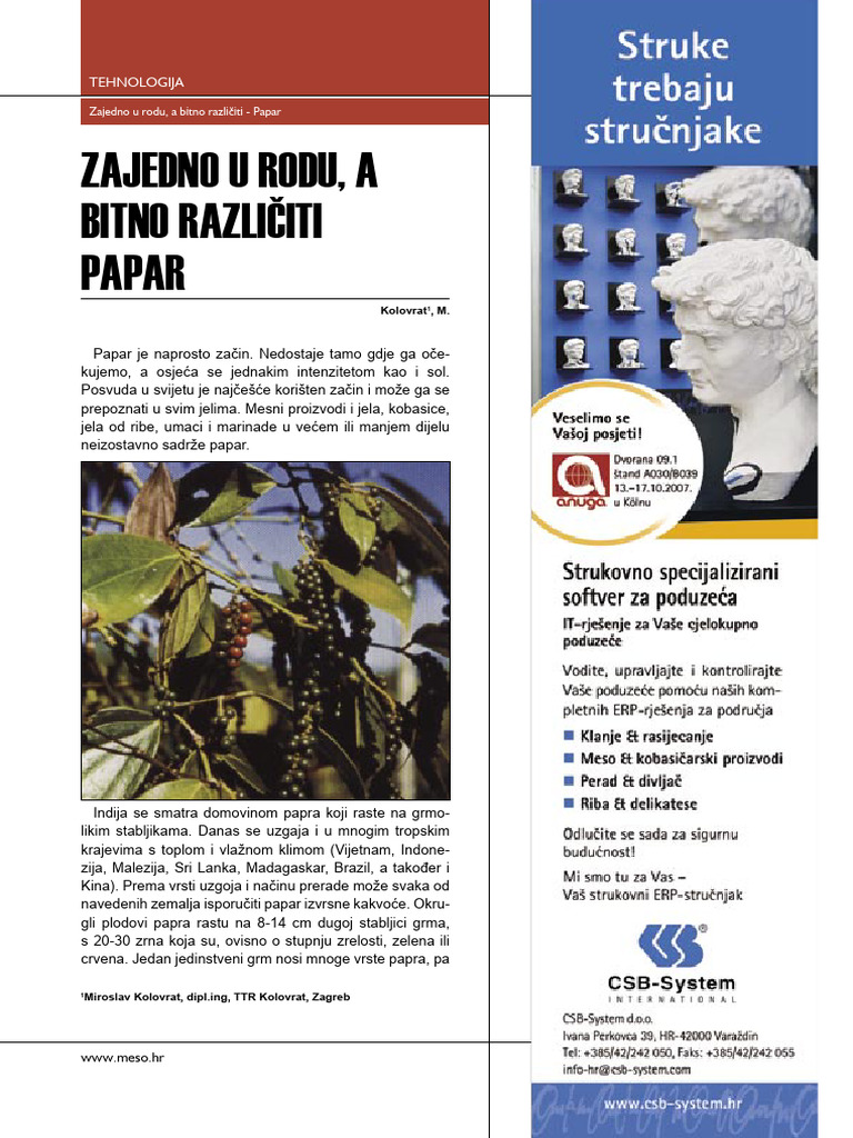 Papar | PDF