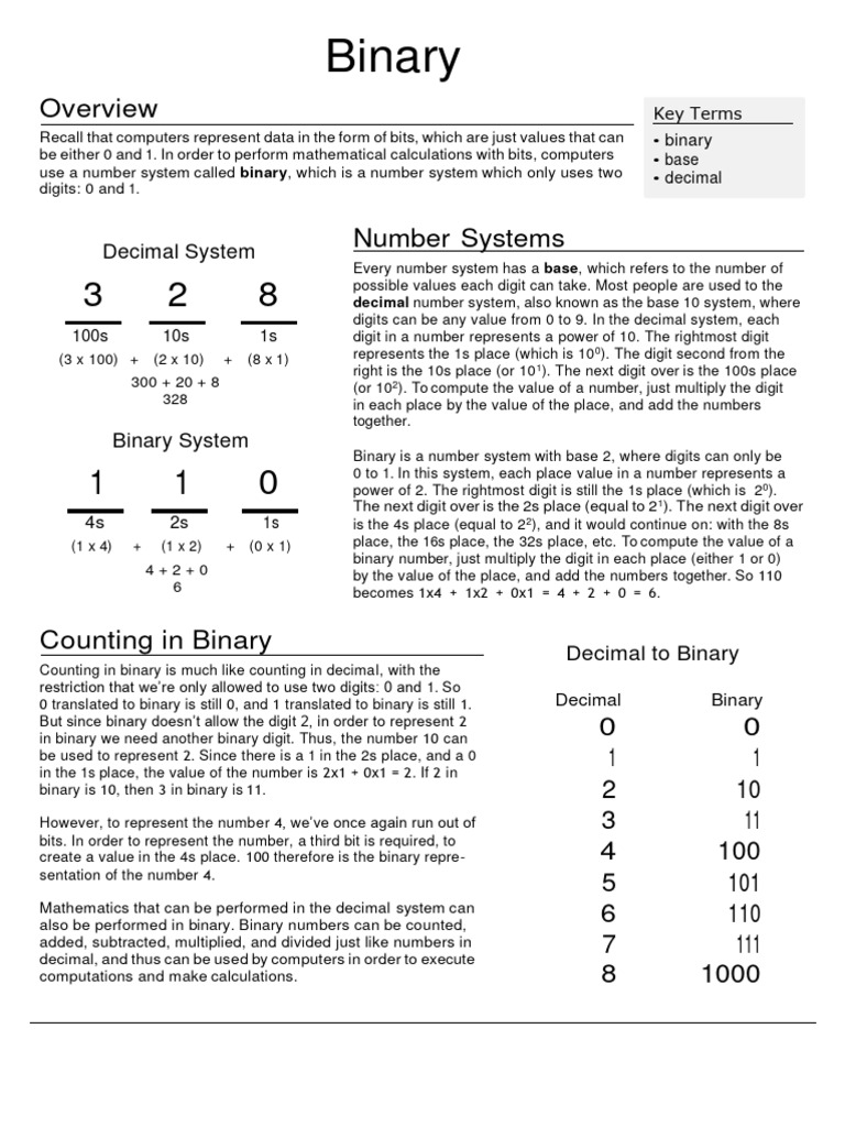 Binary Basics for Beginners | PDF
