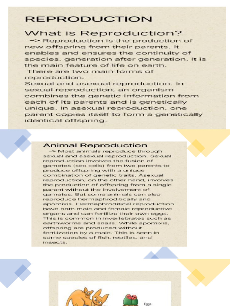 Rogelyn Science | PDF