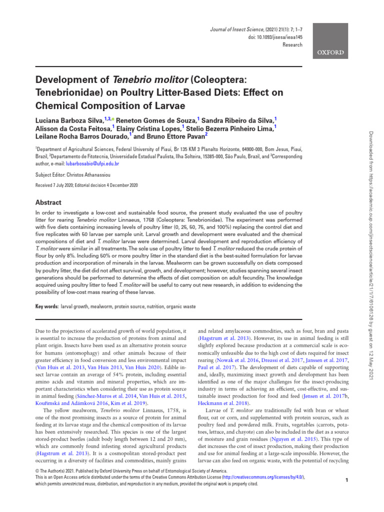 Development of Tenebrio Molitor (Coleoptera | PDF