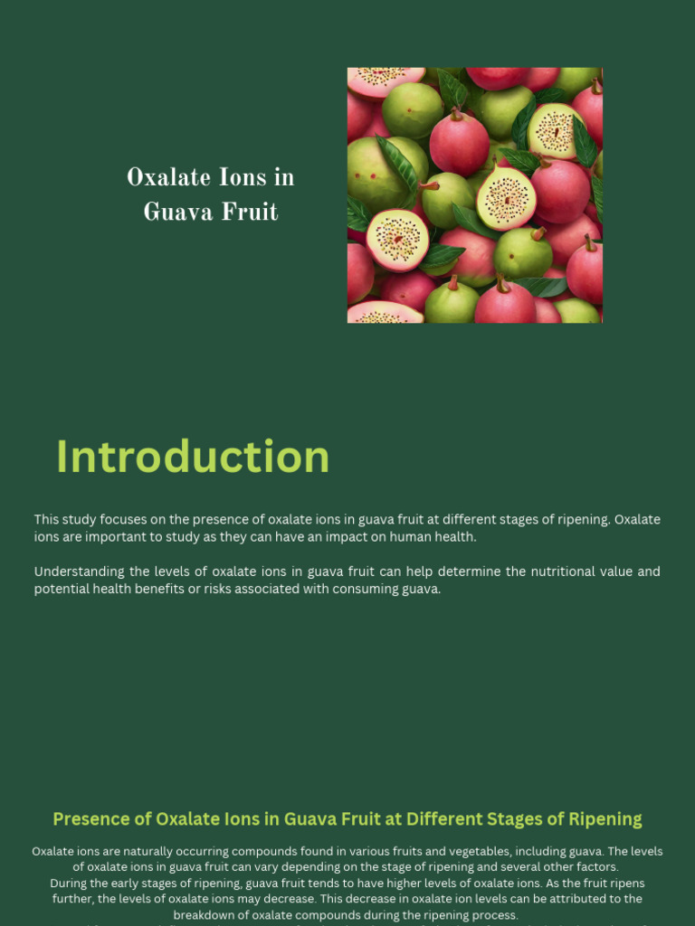 Oxalate Ions in Guava Fruit | PDF