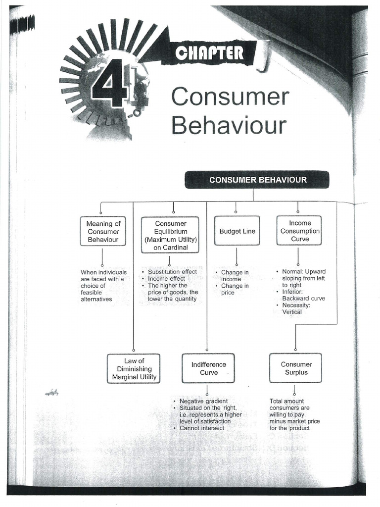 Chapter 6 - Consumer Behaviour | PDF