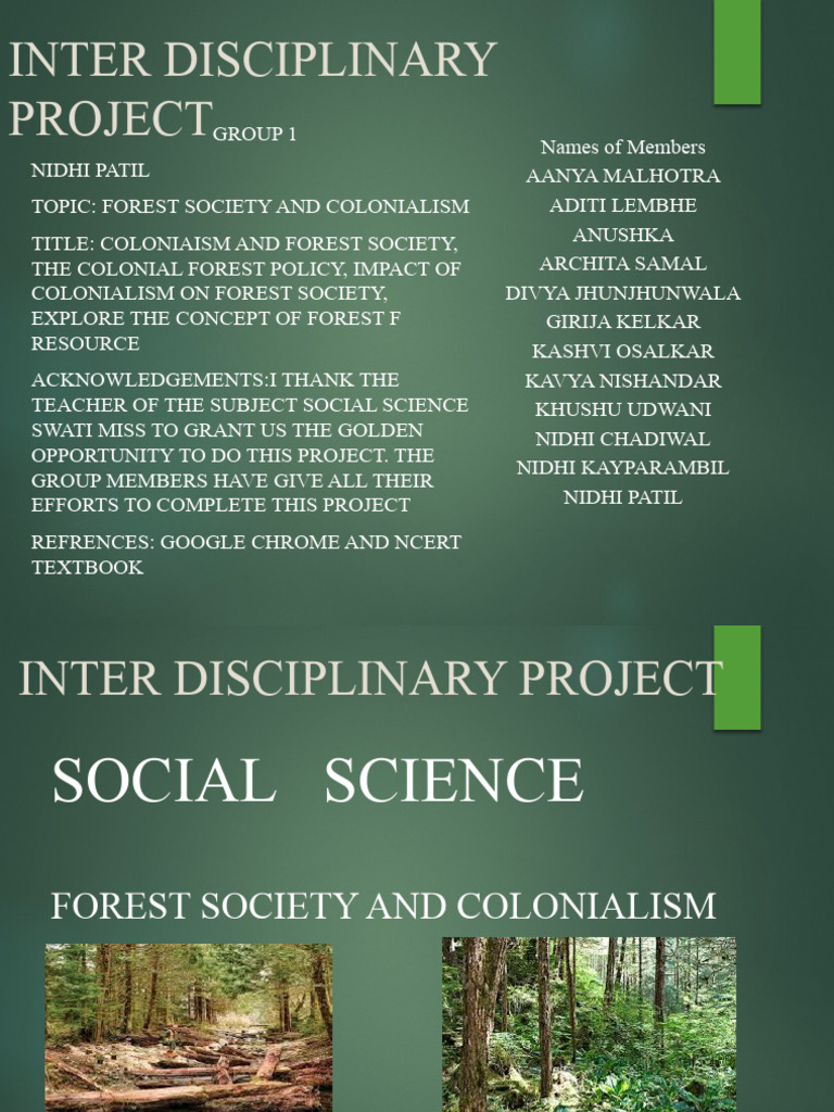 Inter Disciplinary Project | PDF | Ecosystem | Forests