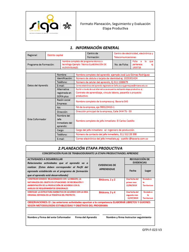 4.1 Modelo Llenado Formato F023-Guía | PDF