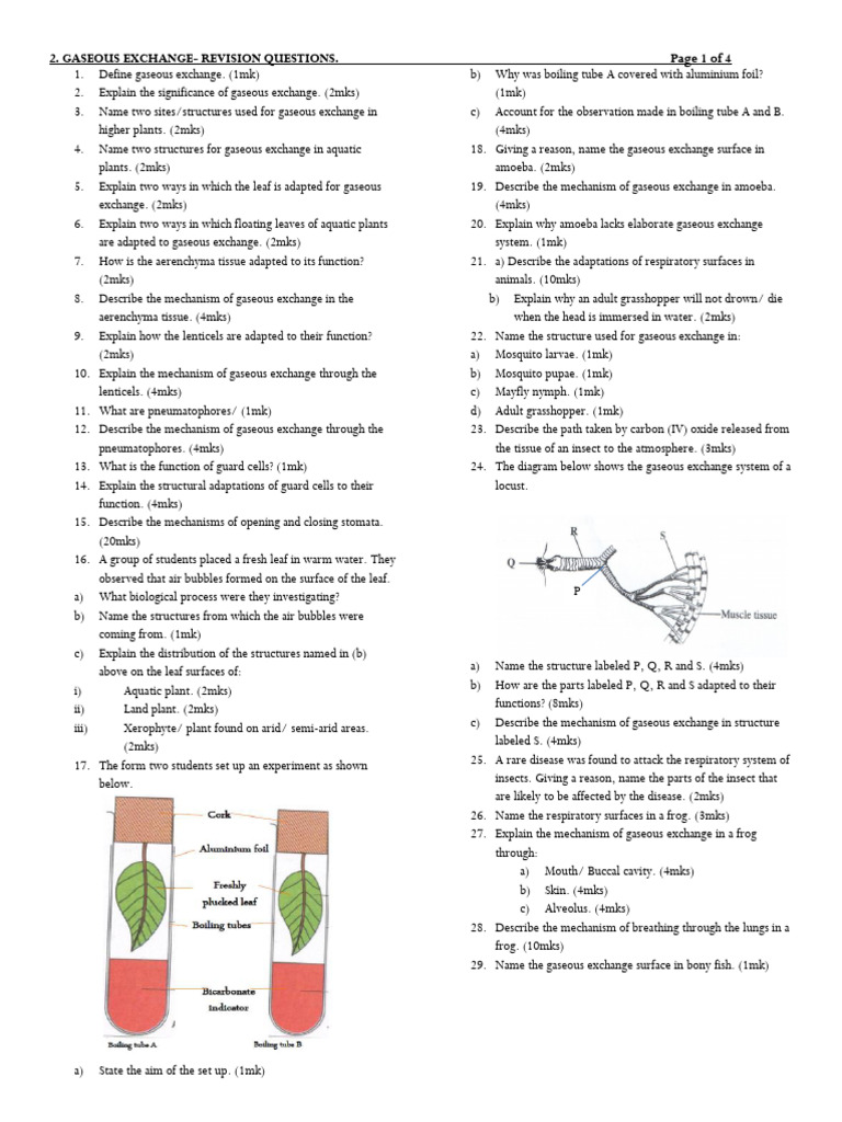 Gaseous Exchange | PDF