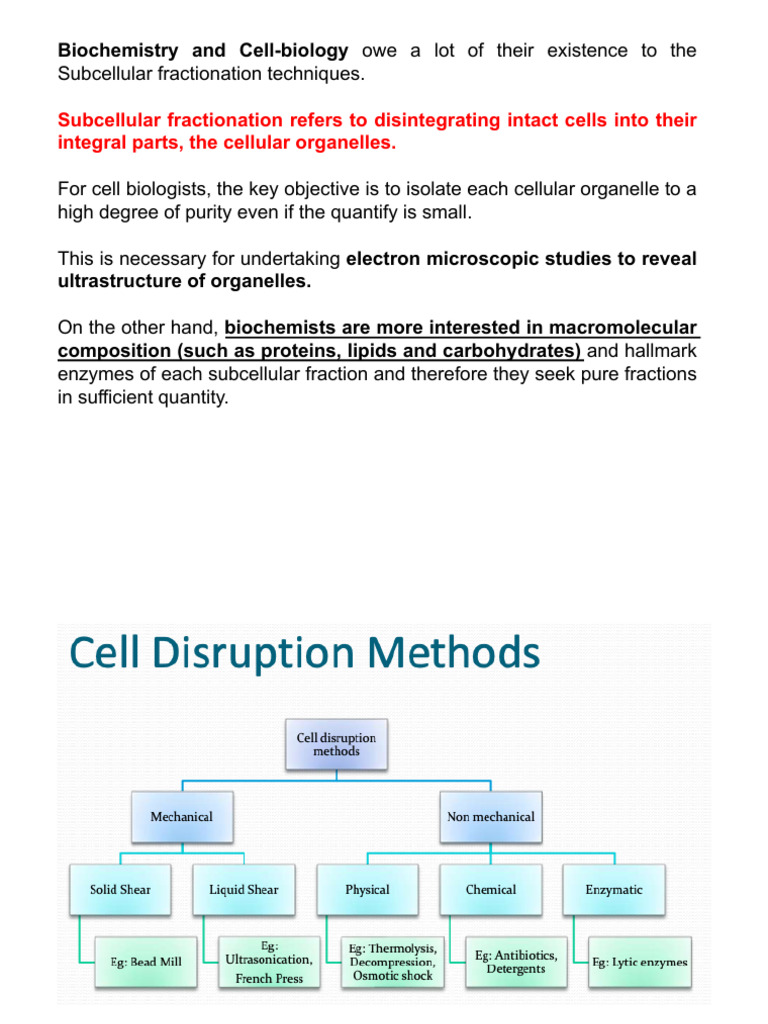 Subcellular Fractionation | PDF