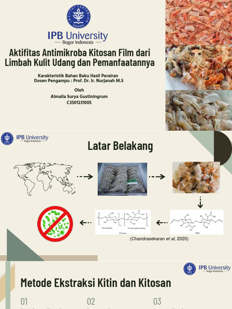 Aktifitas Antimikroba Kitosan Film Dari Limbah Kulit Udang Dan ...