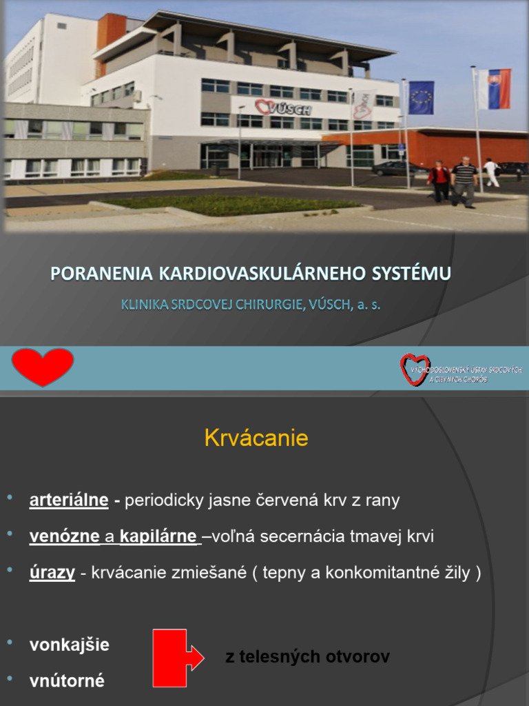 Poranenia Srdca A Ciev Medici | PDF