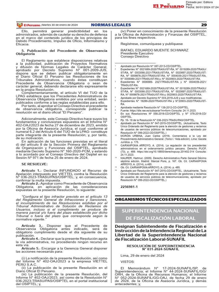 Superintendente Sunafil | PDF