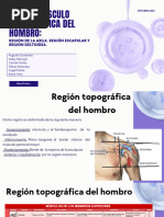Región Axilar Resumen Prrre | PDF | Tórax | Anatomía humana