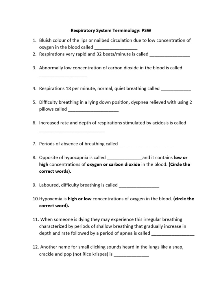 Respiratory System Terminology Student Worksheet | PDF