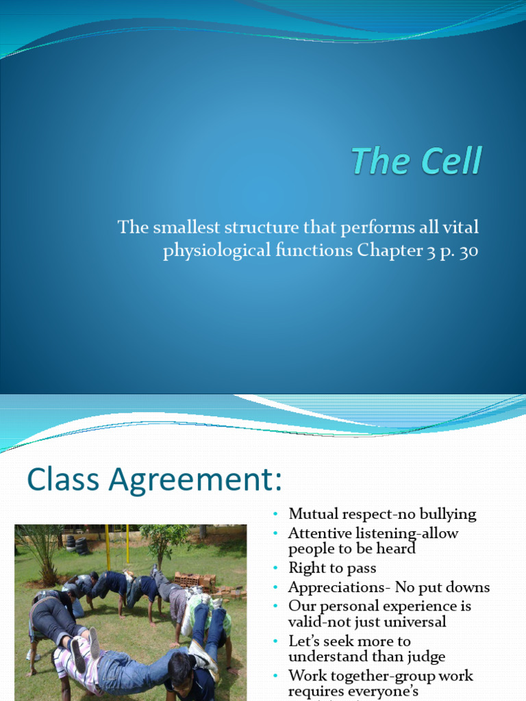 The Cell Student Ppt1 | PDF | Mitosis | Cell (Biology)