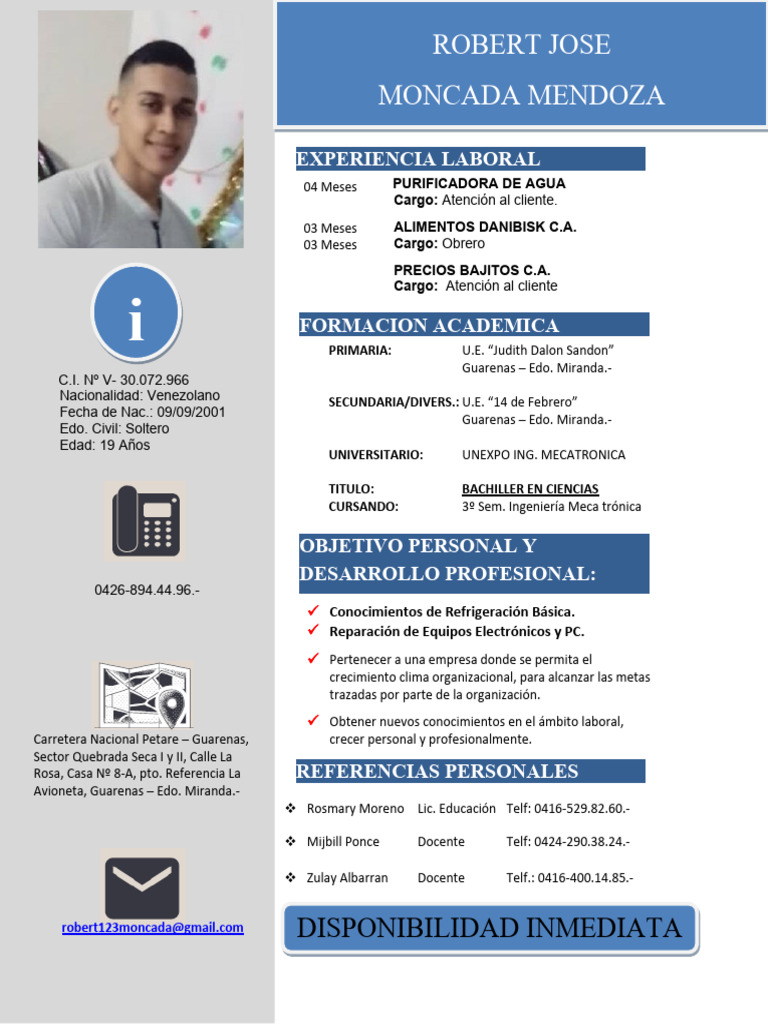 Currículum Robert | PDF