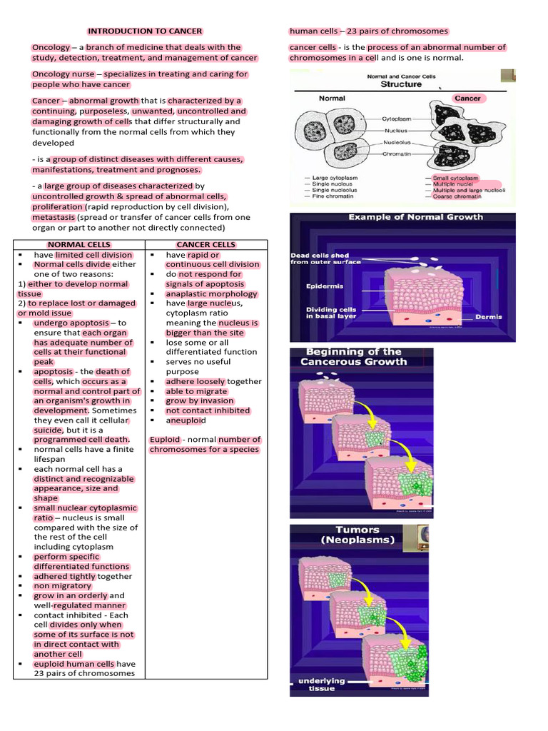 MS Cancer | PDF