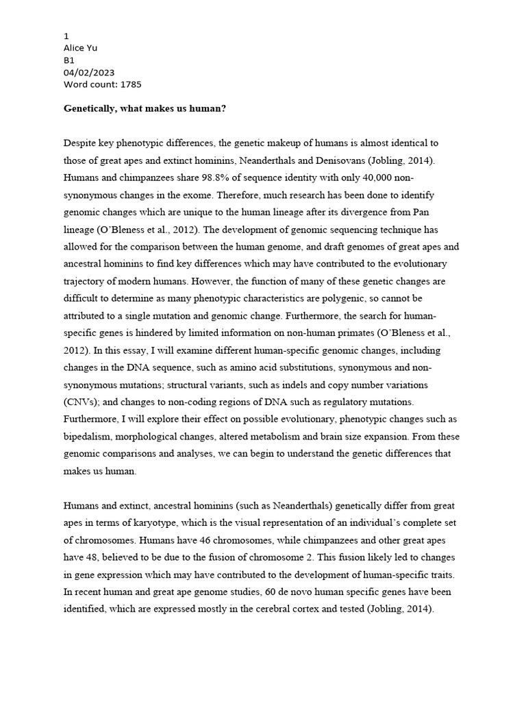 Alice Yu B1 Genetically What Makes Us Human Essay | PDF | Mutation | Gene