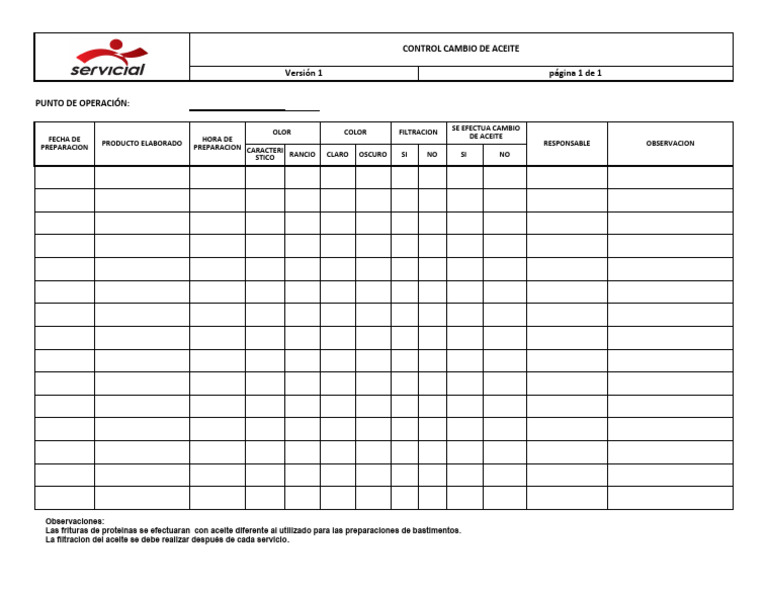 Formato Control Cambio de Aceite | PDF