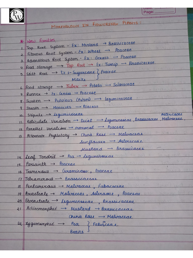 019 ????? Morphology of Flowering Plants Handwritten Notes | PDF