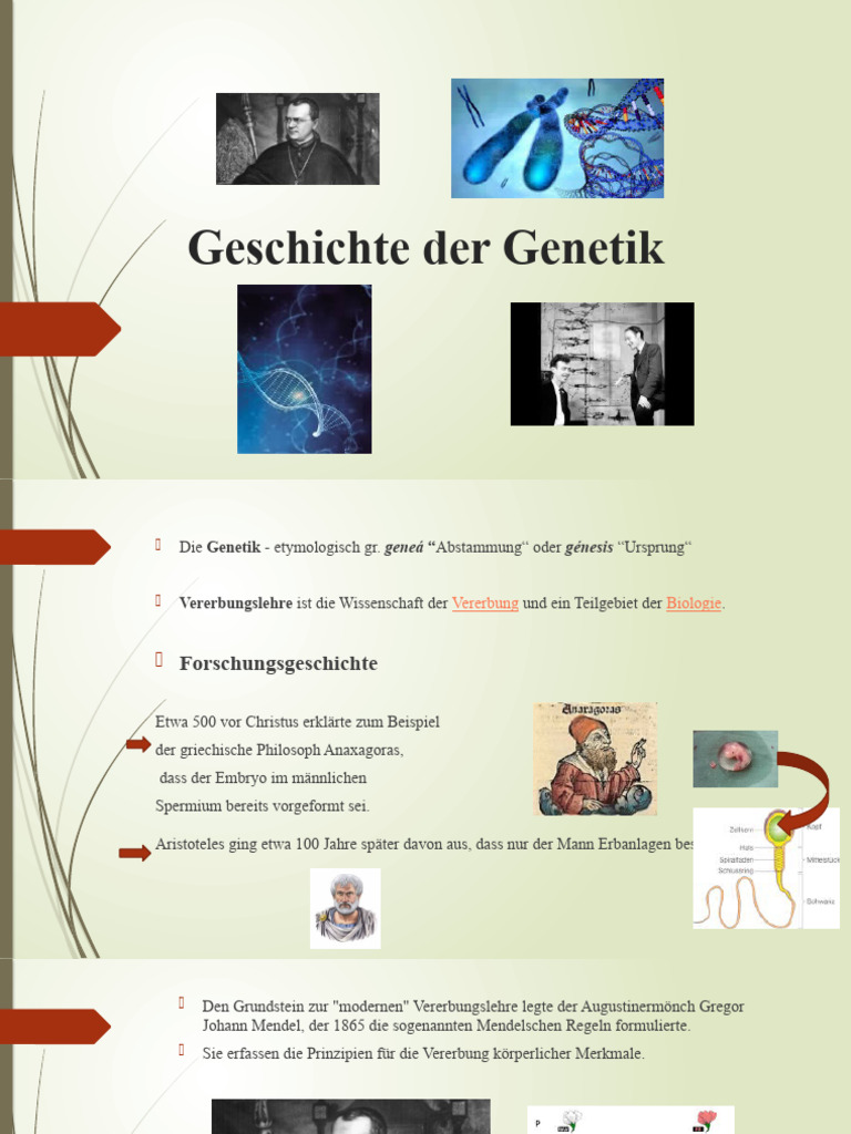 Geschichte Der Genetik | PDF