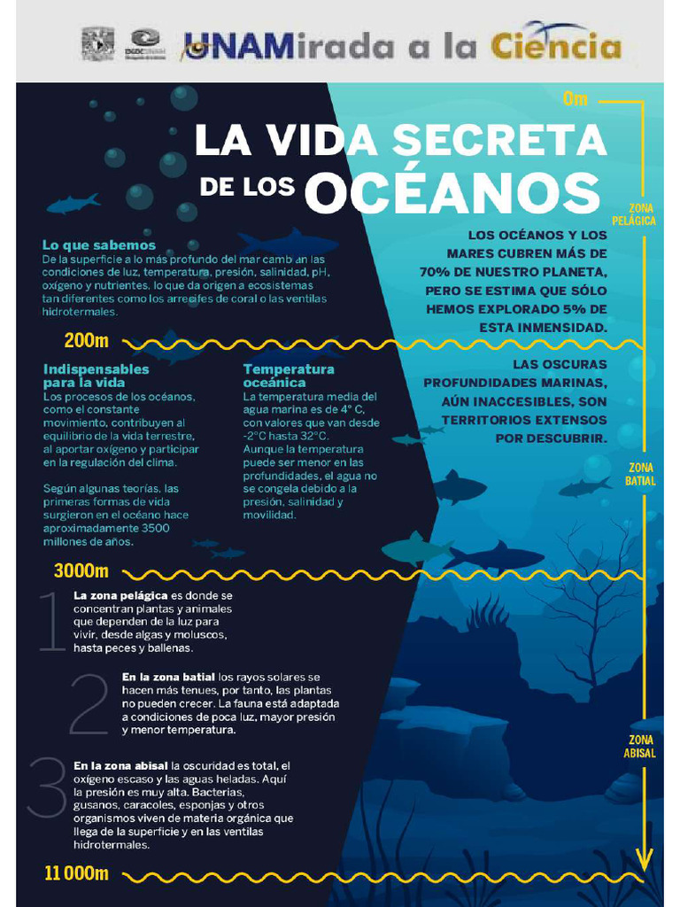 La Vida Secreta de Los Océanos | PDF