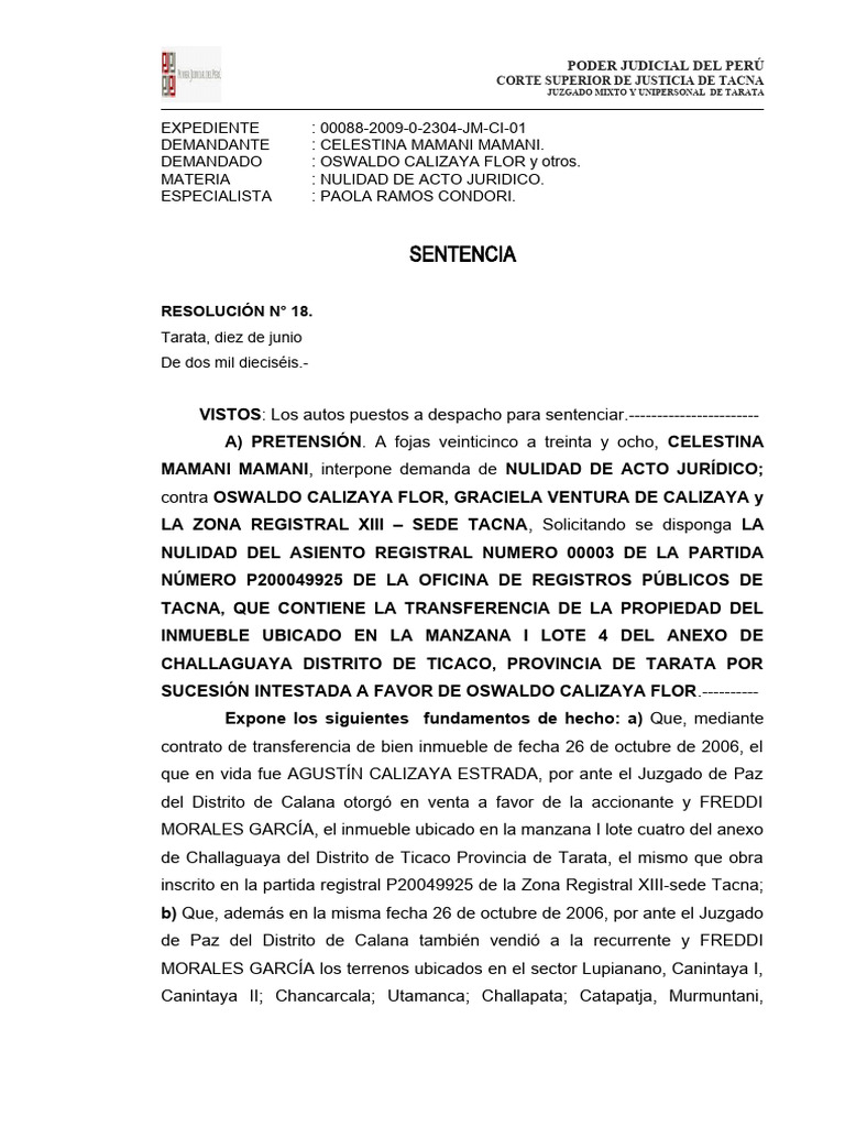 Sentencia Nulidad Acto Juridico | PDF