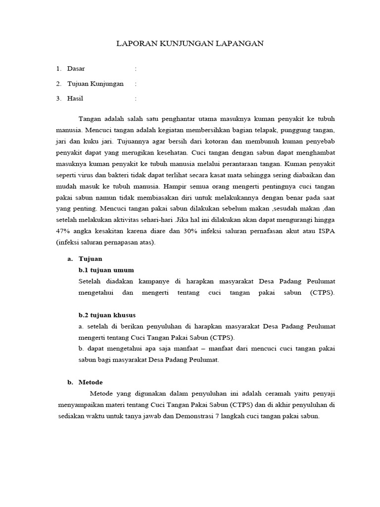 Laporan Kunjungan Kampanye CTPS | PDF