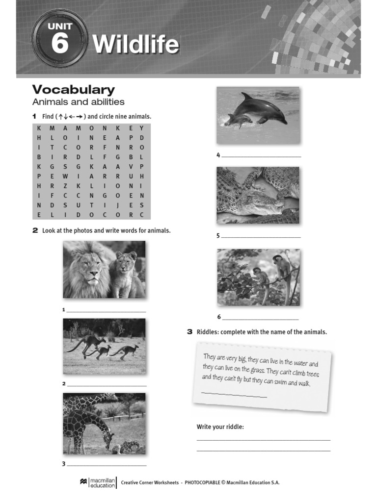 Wildlife Vocabulary and Grammar Worksheets | PDF