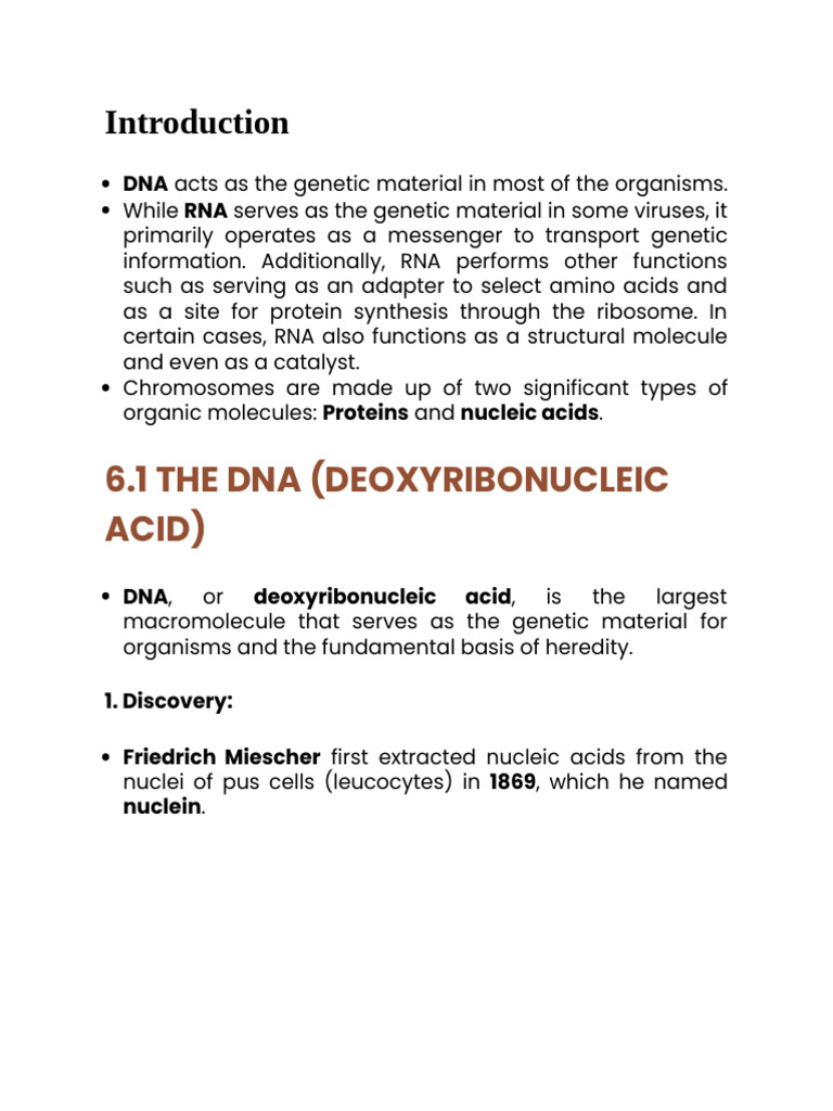 6.molecular Basis of Inheritance | PDF | Operon | Translation (Biology)