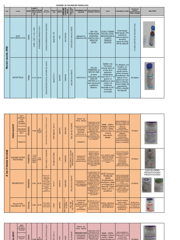 Parcial y Esquema Regular Pai Agoto 2023 | PDF