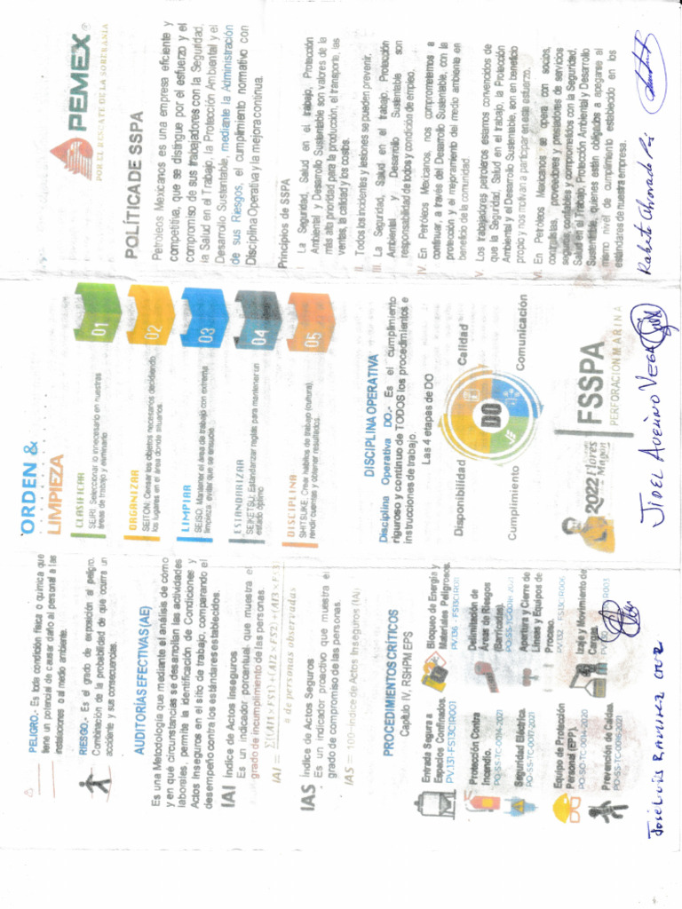 Triptico 13 Directrices 1 | PDF