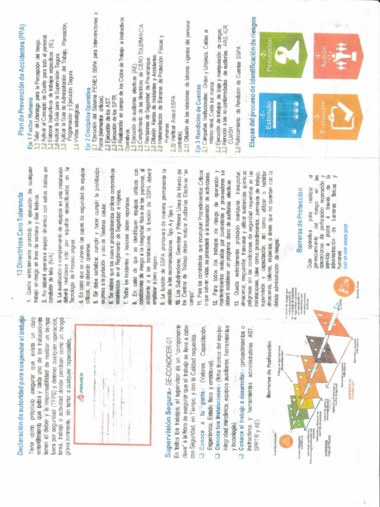 13 Directrices 2 | PDF