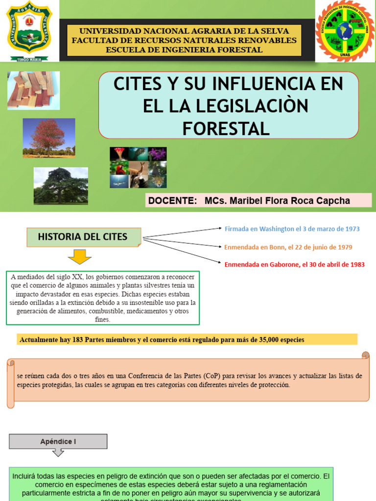 Clase 6 CITES | PDF | Cita